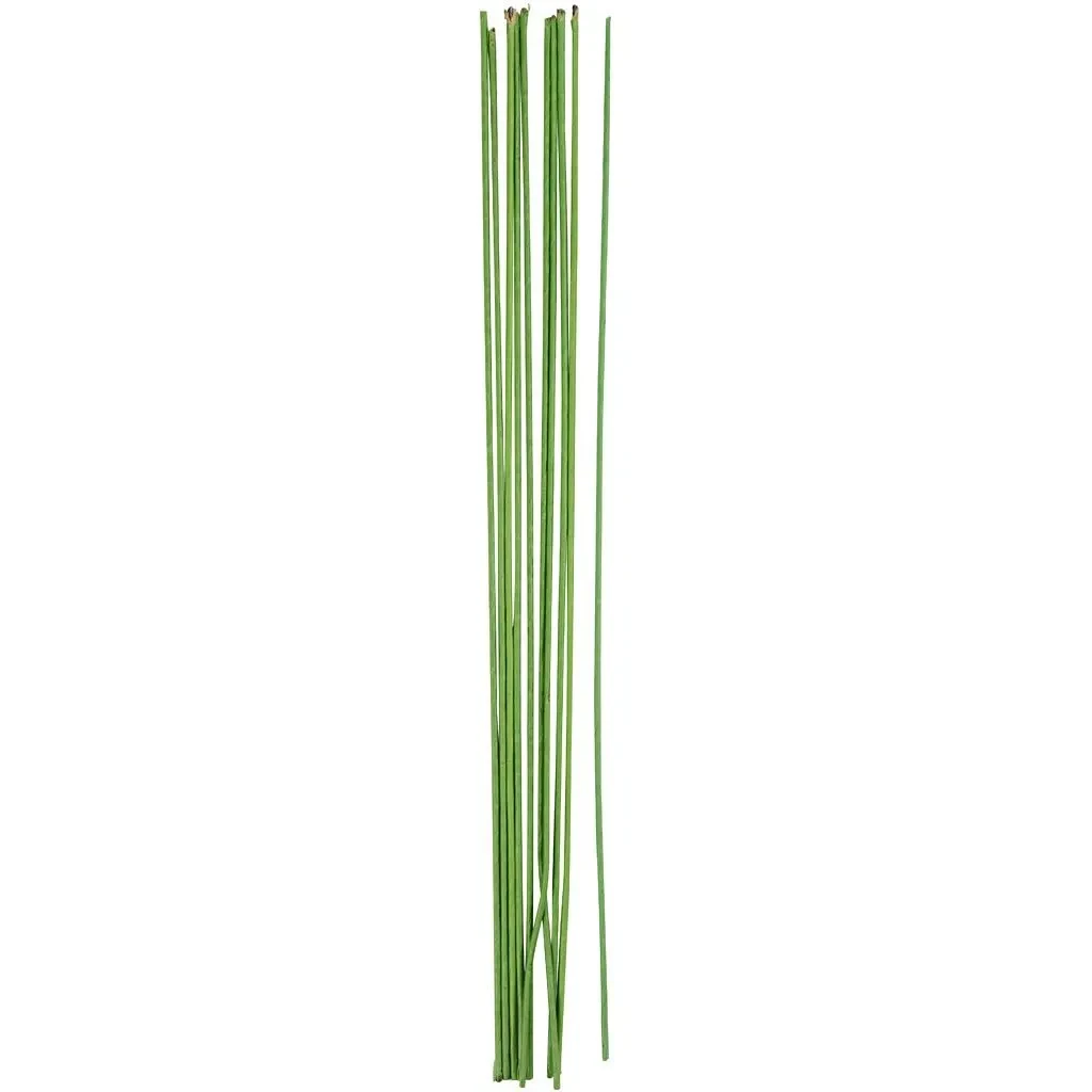 Flower stem
